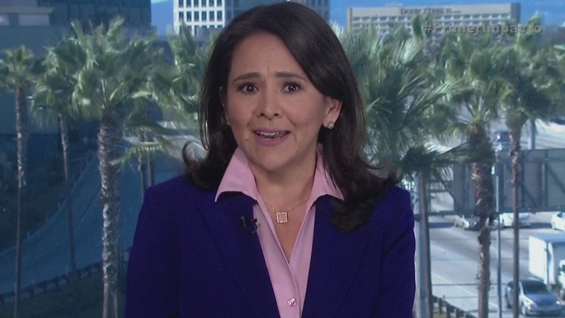 Jessica Domínguez habla sobre fallo contra acción ejecutiva - Univision