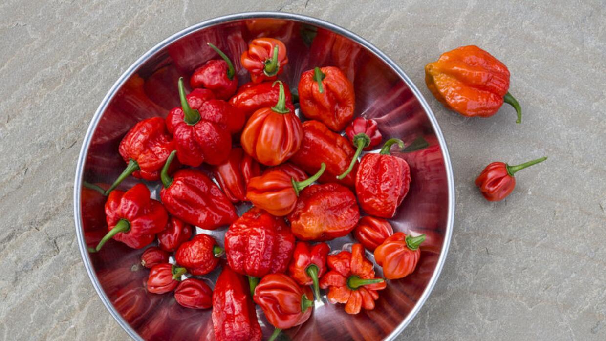 ¿Quieres saber cuál es el ají más picante del mundo? - Univision